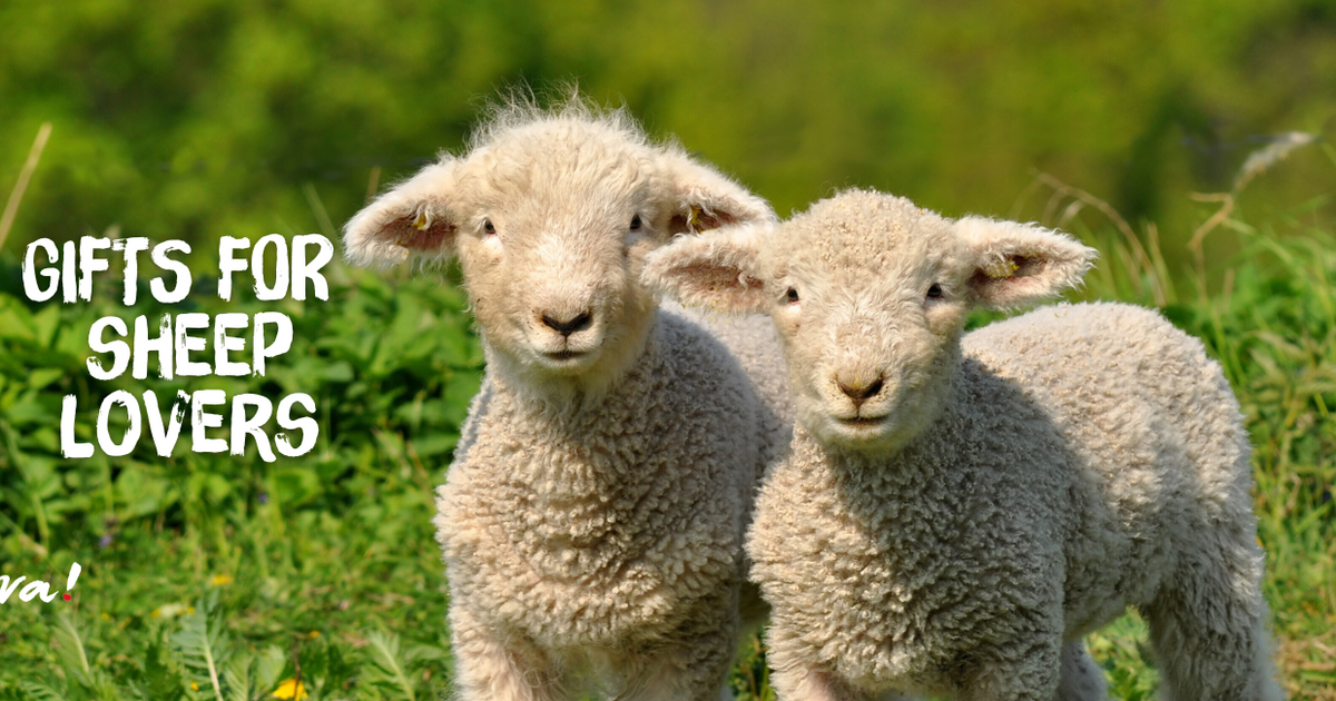Gift Ideas For Sheep Lovers – Gifts for Life | Viva!