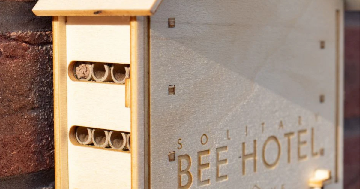 Beevive DIY Bee Hotel Kit – Gifts for Life | Viva!