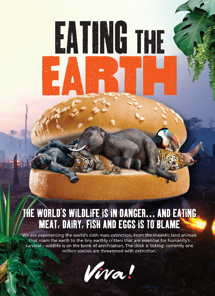 Eating The Earth Leaflets x 50 – Gifts for Life | Viva!